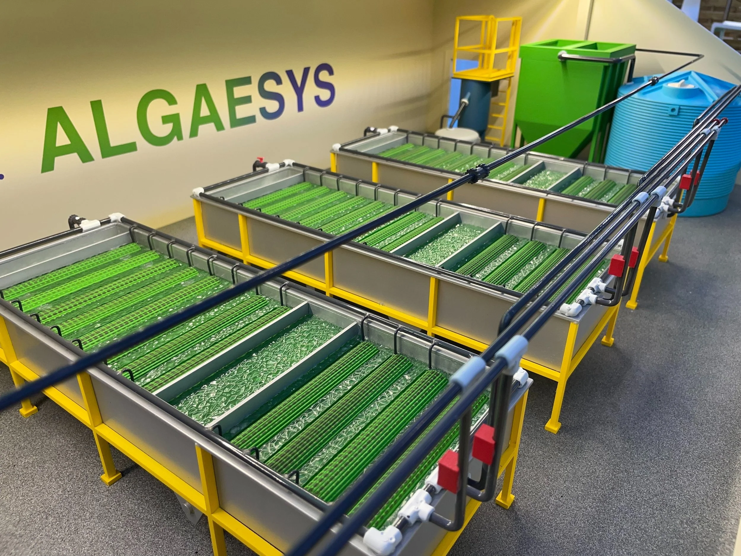 Benefits of ALGAESYS — Algaesys