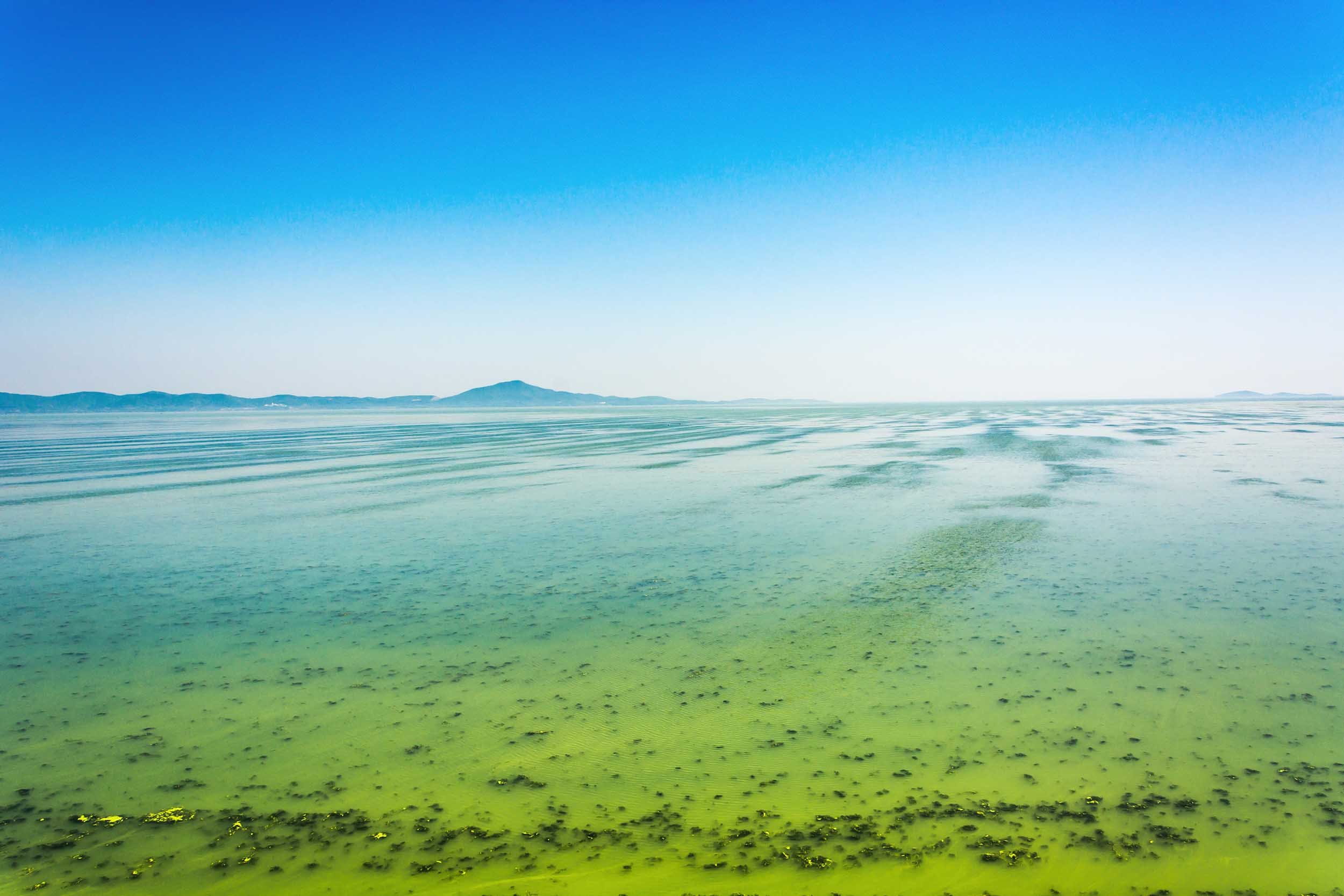 ALGAESYS, at the heart of the circular water economy.