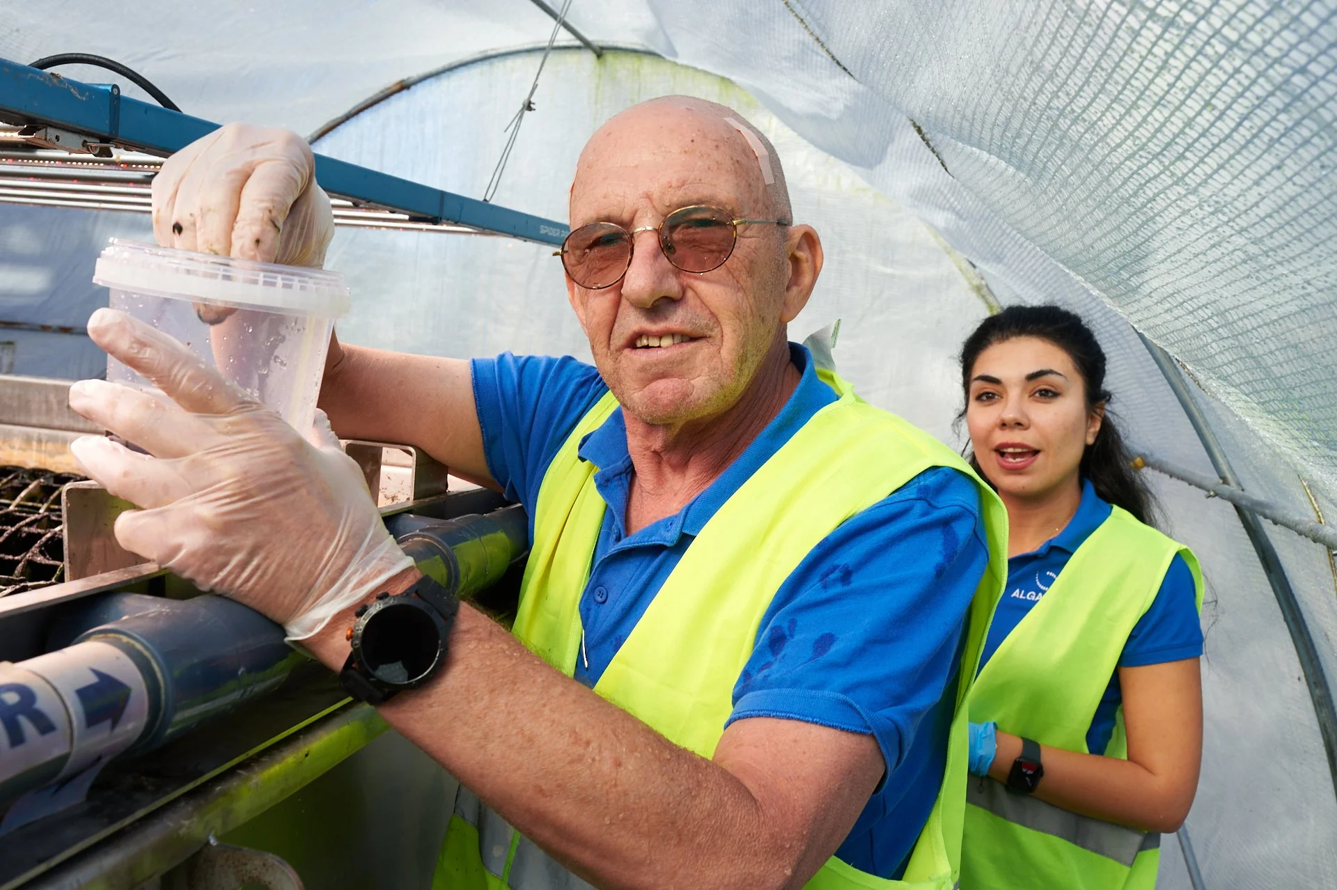 Celebrating 5 Years of ALGAESYS: A Journey of Innovation and Growth ...