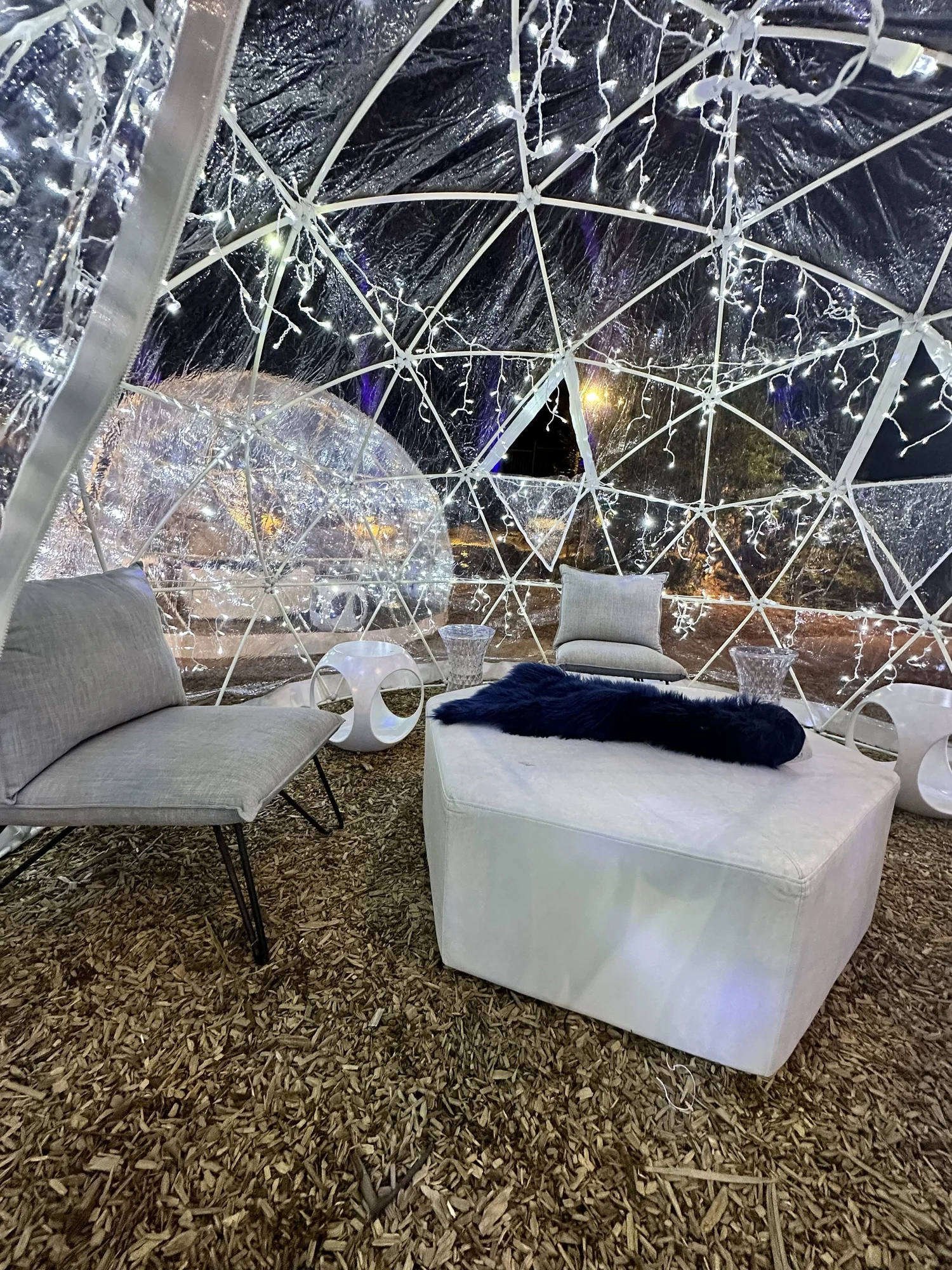 Past Events — OC IGLOO