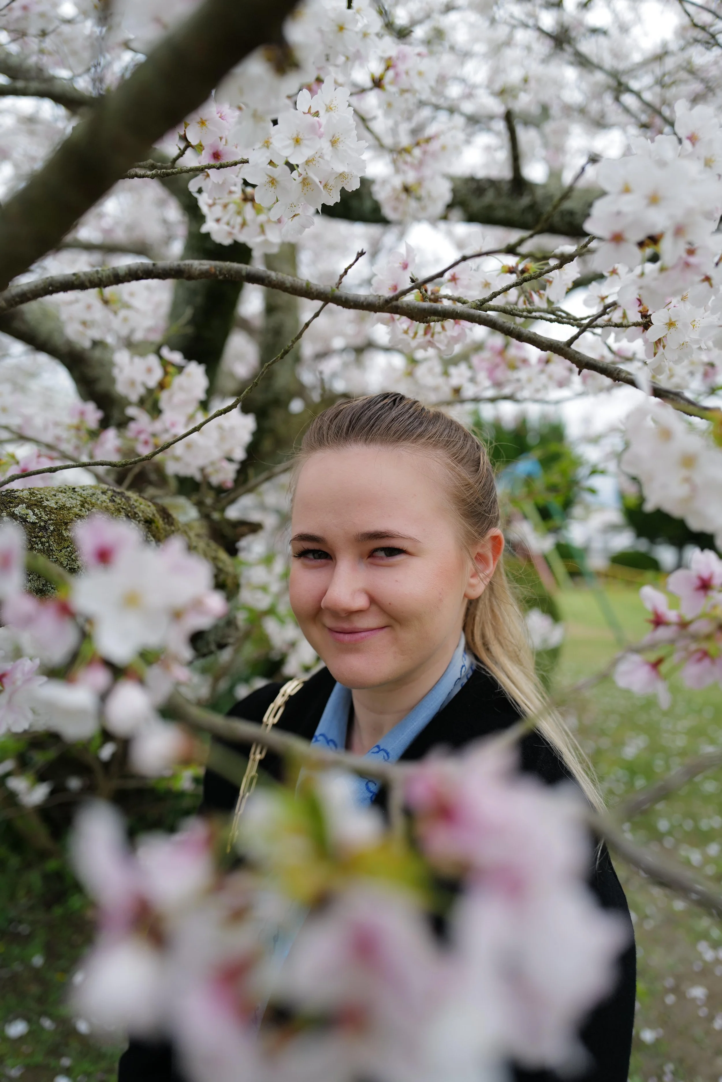 Home (New) — Acta Academy