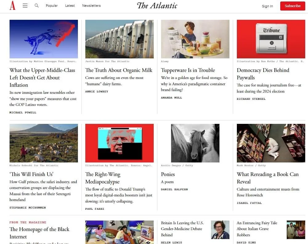 英文閱讀進化指南：6大英文閱讀訓練技巧與實用網站分享 — Acta Academy