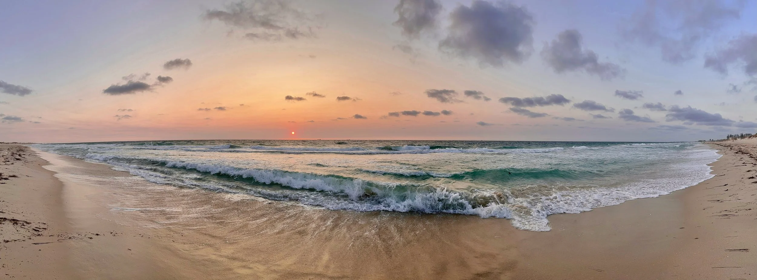 Around Perth — Jaclyn Randles Imagery