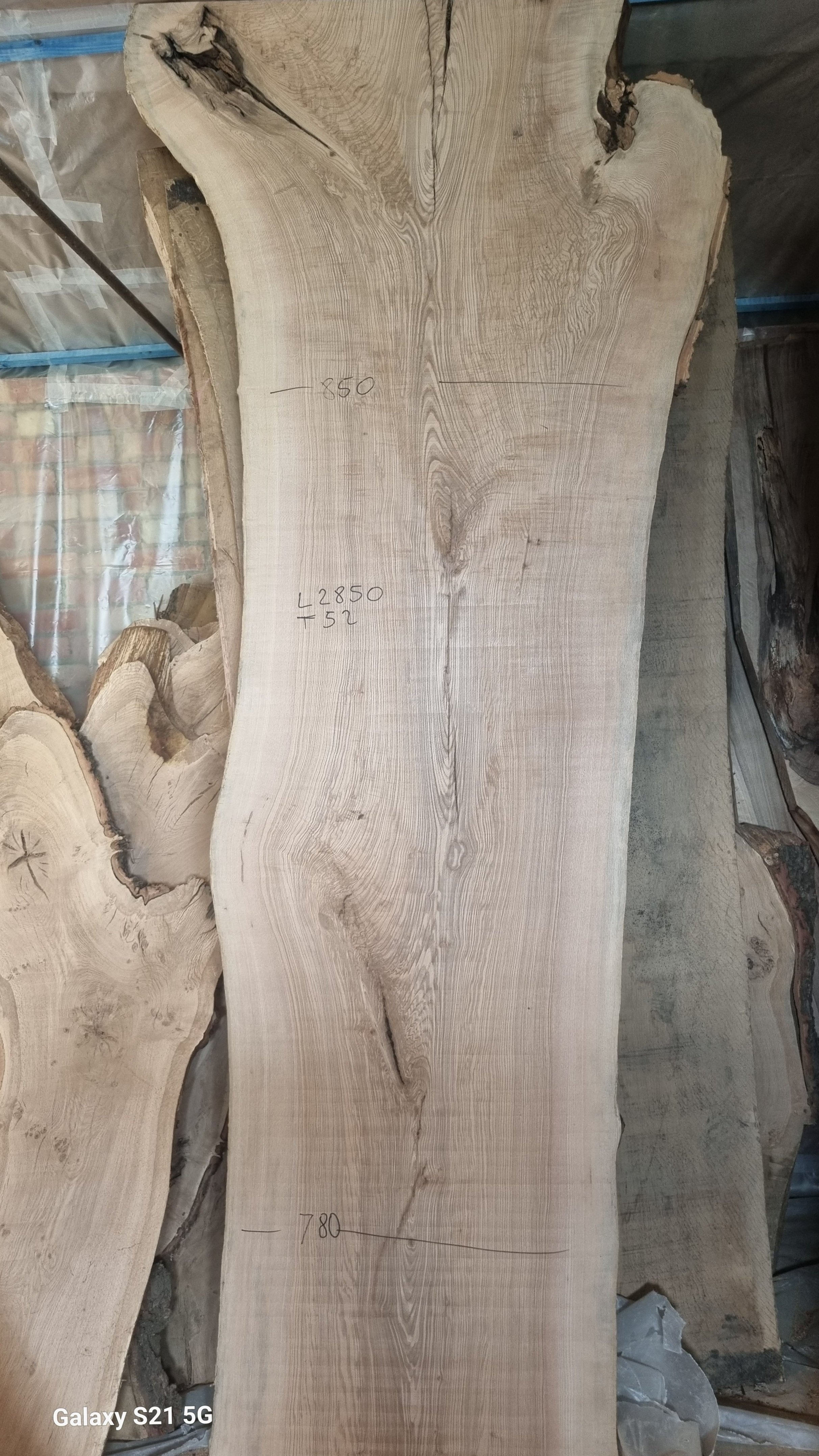Olive Ash Slab — Harrison Timber UK
