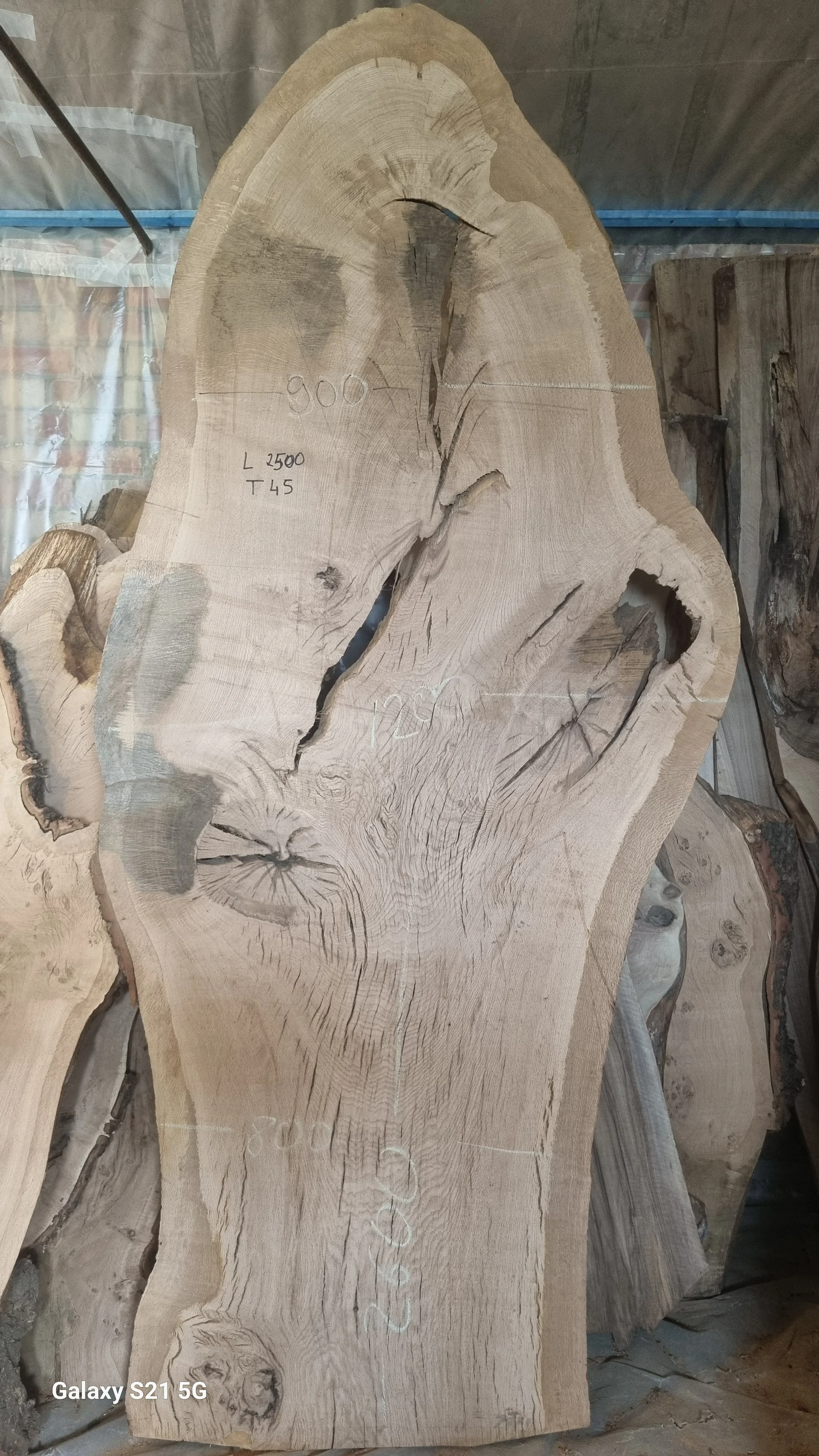 Olive Ash Slab — Harrison Timber UK