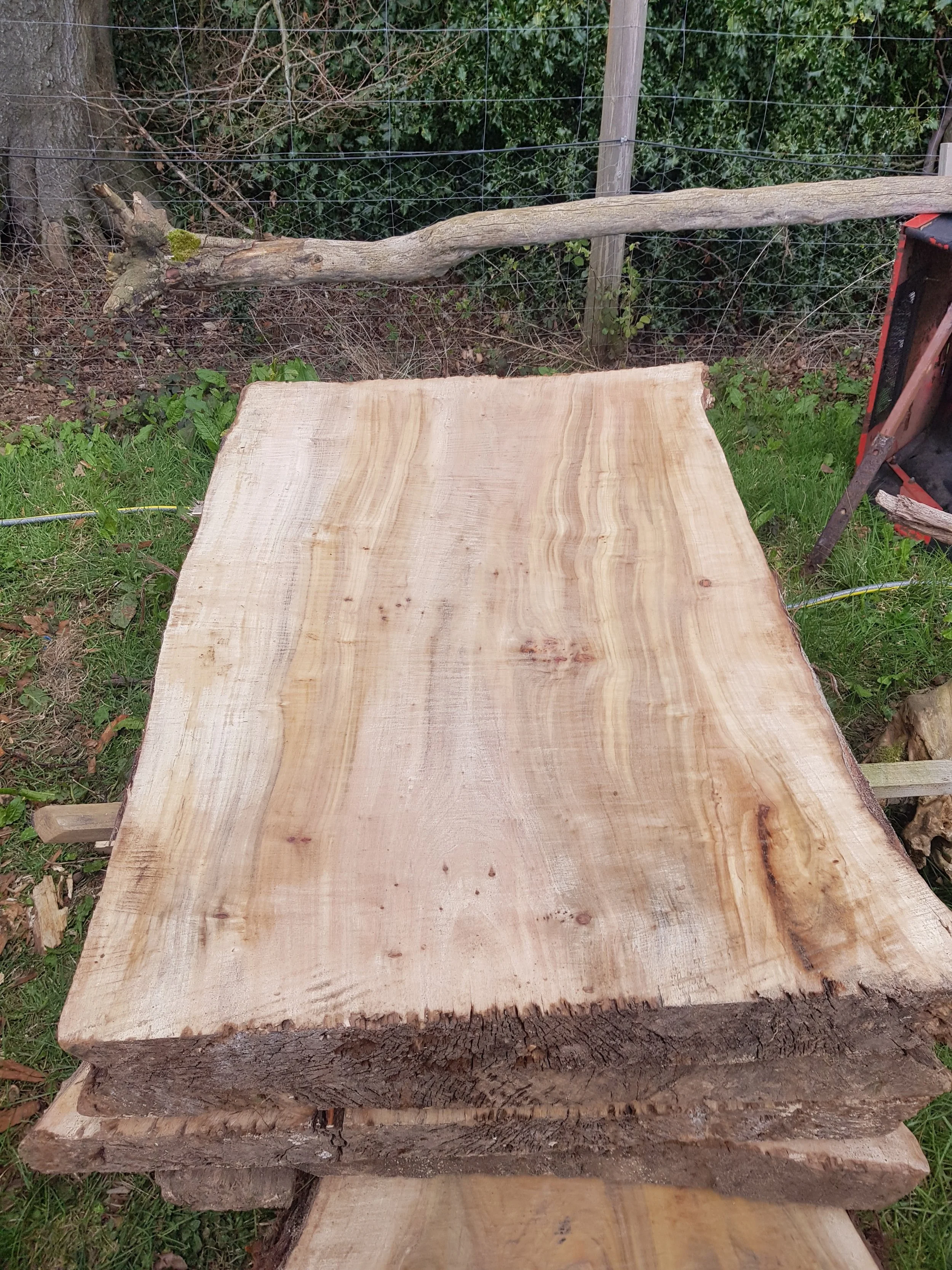 Poplar Slabs — Harrison Timber UK