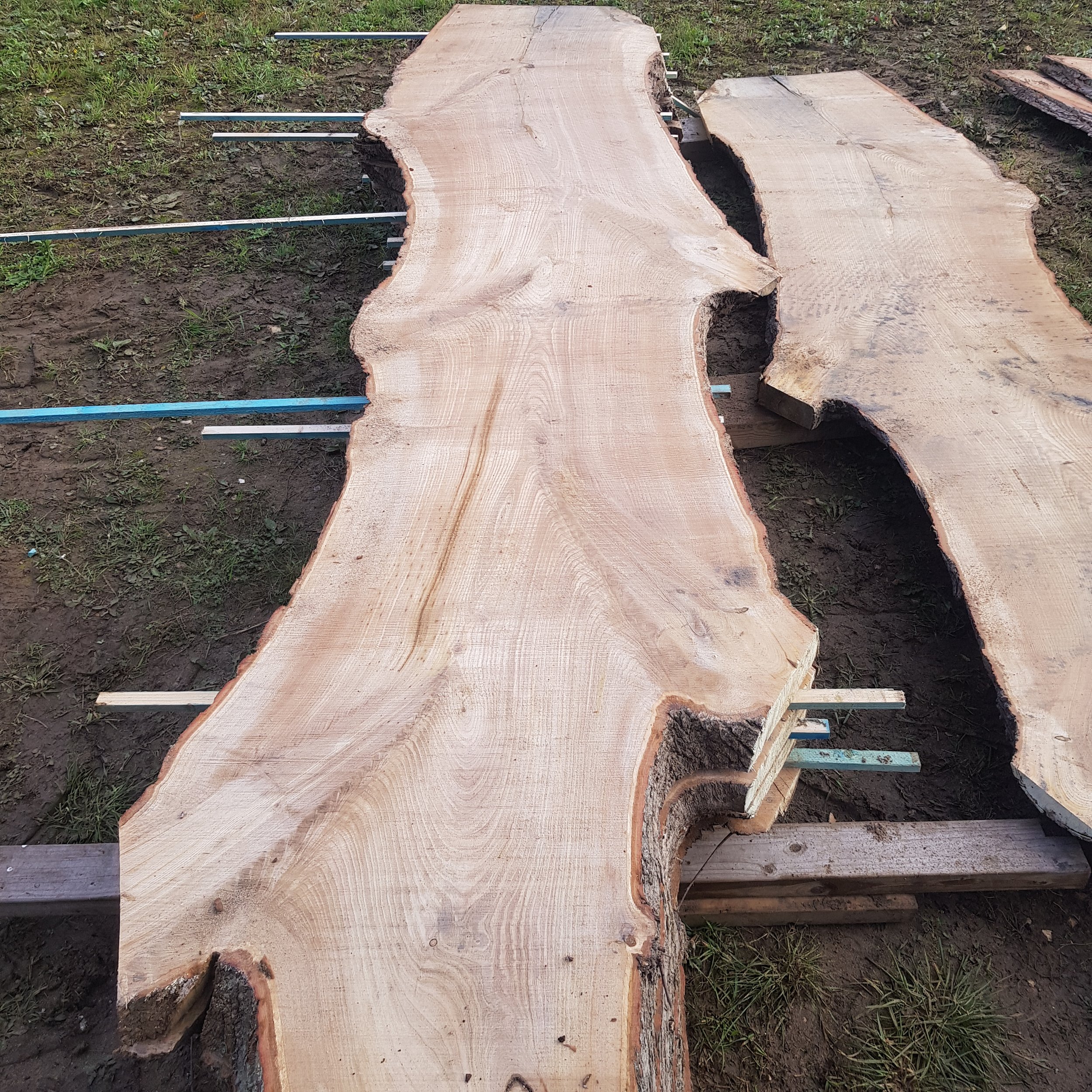 Life edge timber merchant