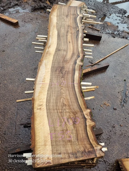 Life edge timber merchant