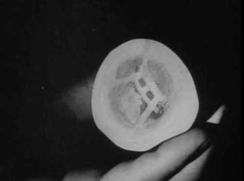 Brown Film Magazine — The Cheat: The Ideological American & Separatist ...
