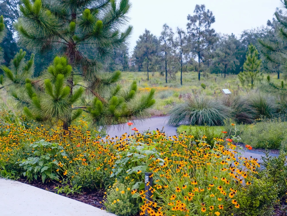 Botanical Gardens & Parks — Coyle & Caron, Inc.