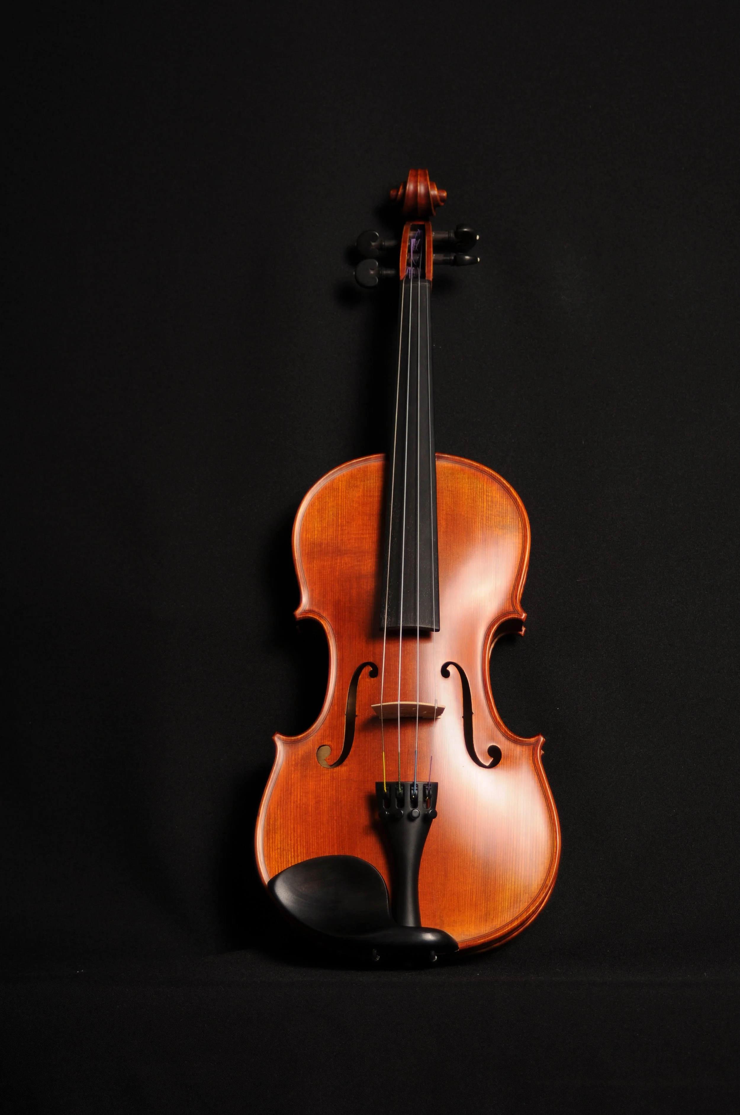 Tuscan Violin — Acoustic Strings of New England