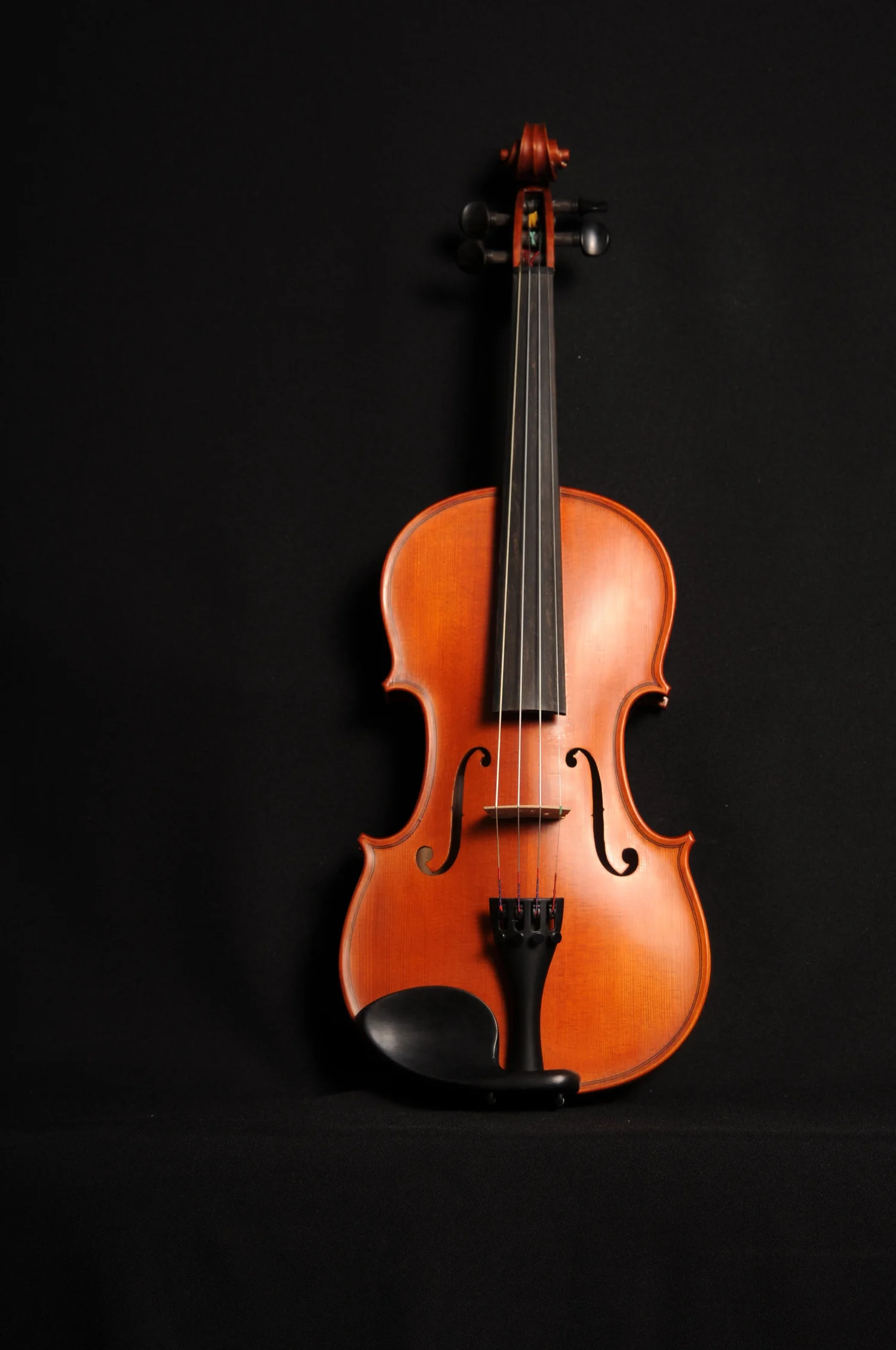 Violas — Acoustic Instrument Gallery — Acoustic Strings of New England
