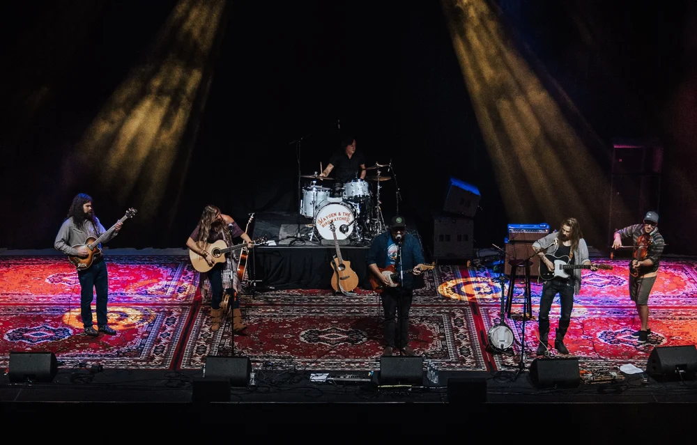 SHOWS — Maygen & The Birdwatcher