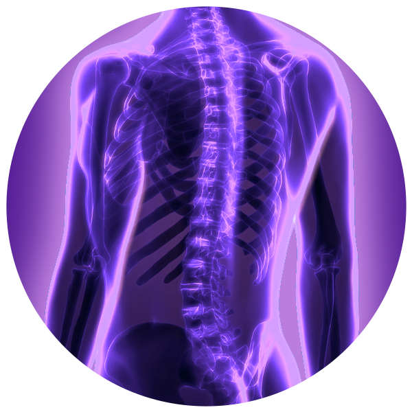Aurora Spine | Spine Surgery Implants & Solutions — Aurora ...