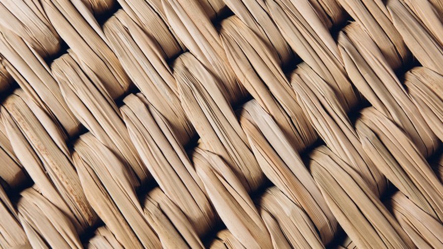 Tule Collection — txt.ure