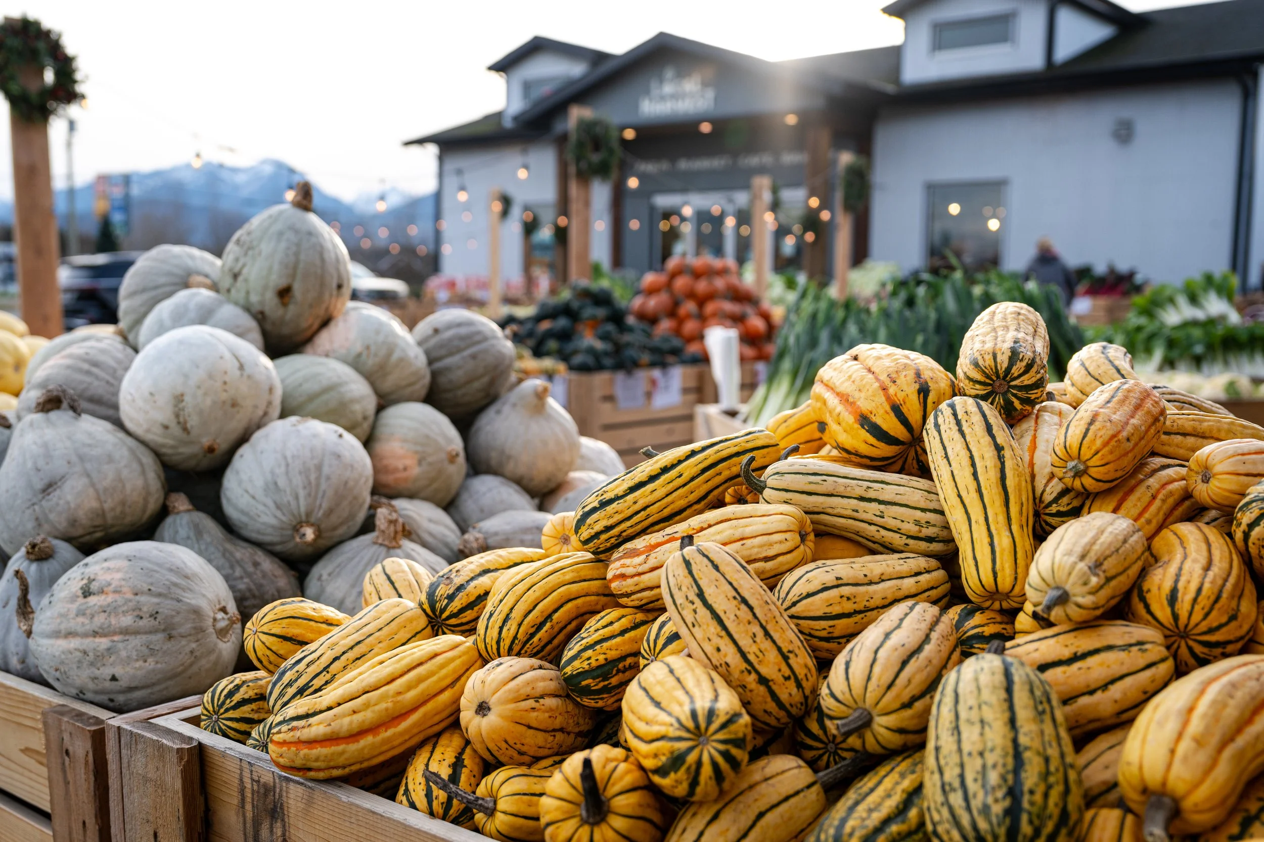 The Local Harvest Market