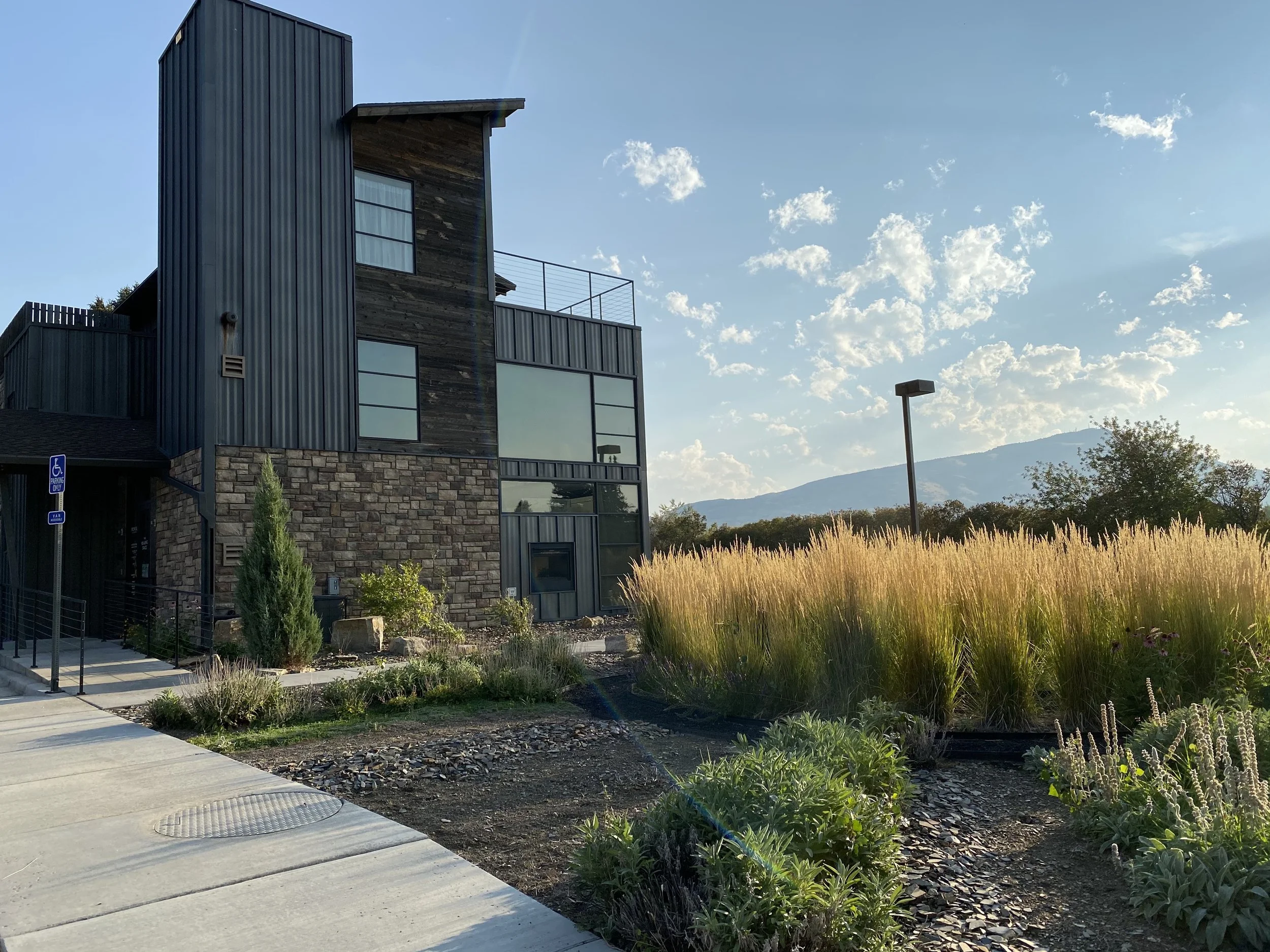Meet Dr. Gee — Optimal Neurohealth