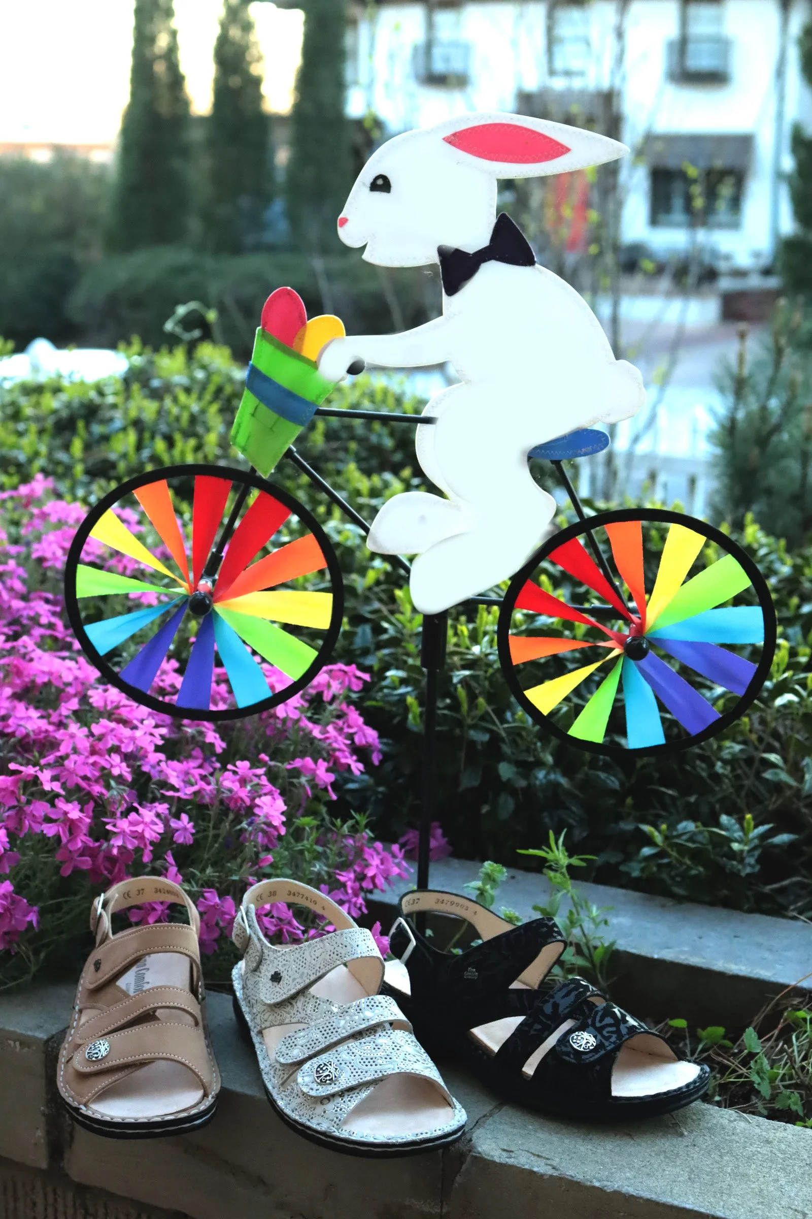 Events — Fleming's Comfort Footwear