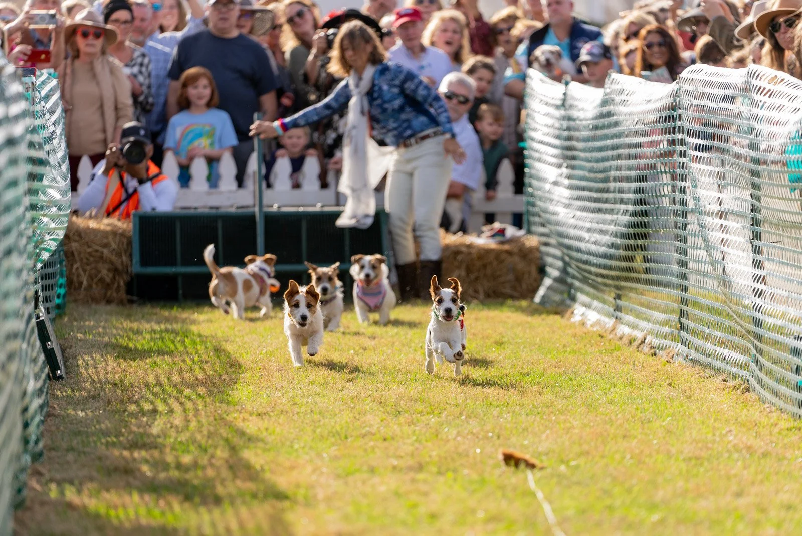 Events — Montpelier Hunt Races