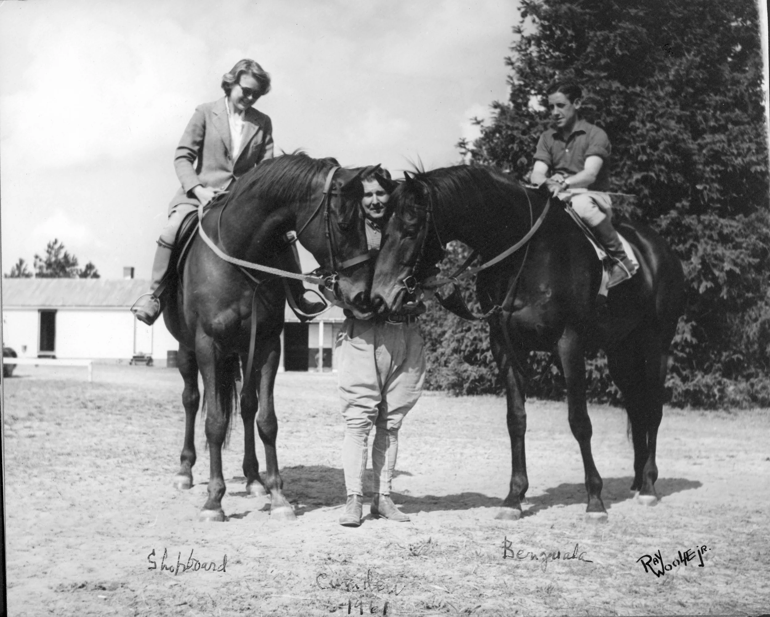 Our Story — Montpelier Hunt Races