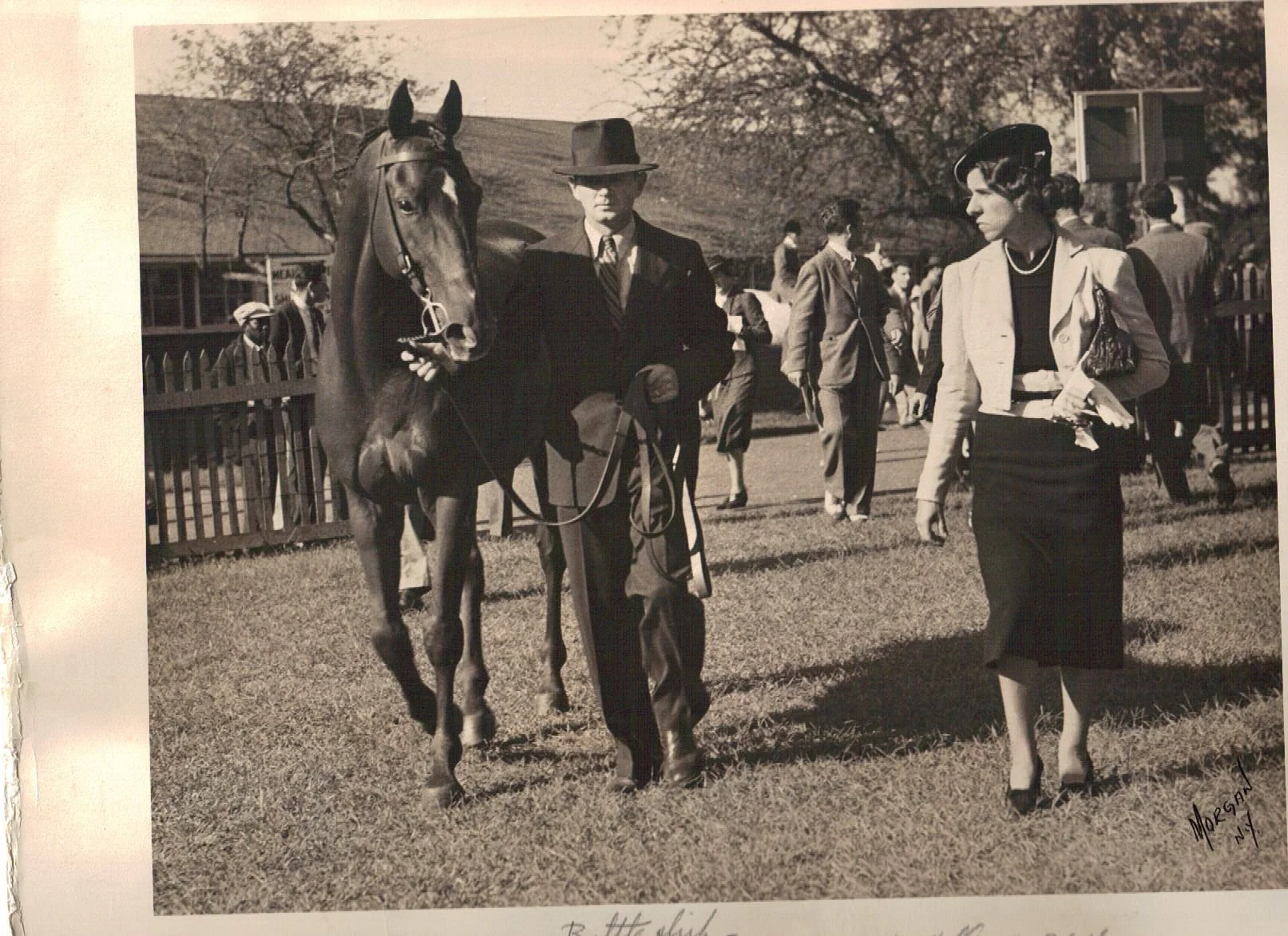 Our Story — Montpelier Hunt Races