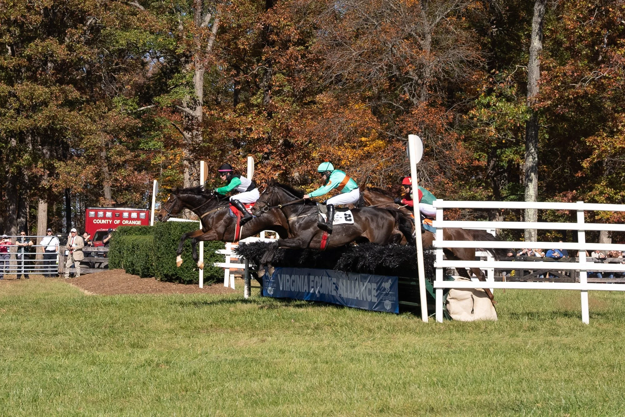 Honoring 90+ Years of Steeplechasing at Montpelier — Montpelier Hunt Races