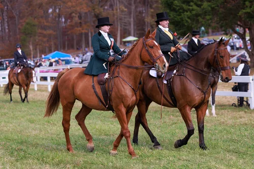 Events — Montpelier Hunt Races