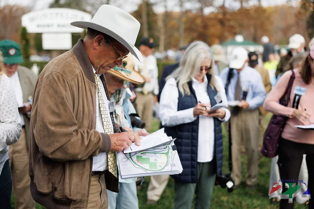 Montpelier Hunt Races 2024