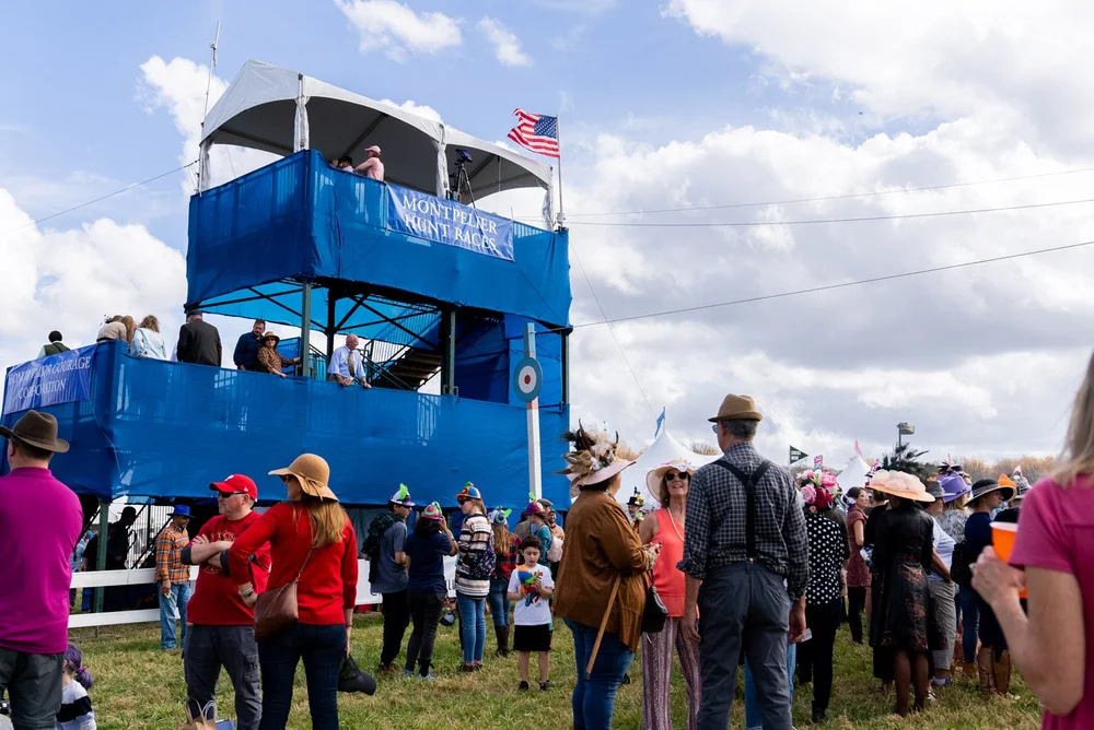 Montpelier Hunt Races | Experience the Excitement – Join Us Now ...