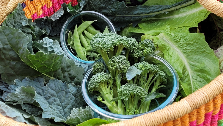 Grow a Spring Vegetable Garden — MY COLORADO GARDEN