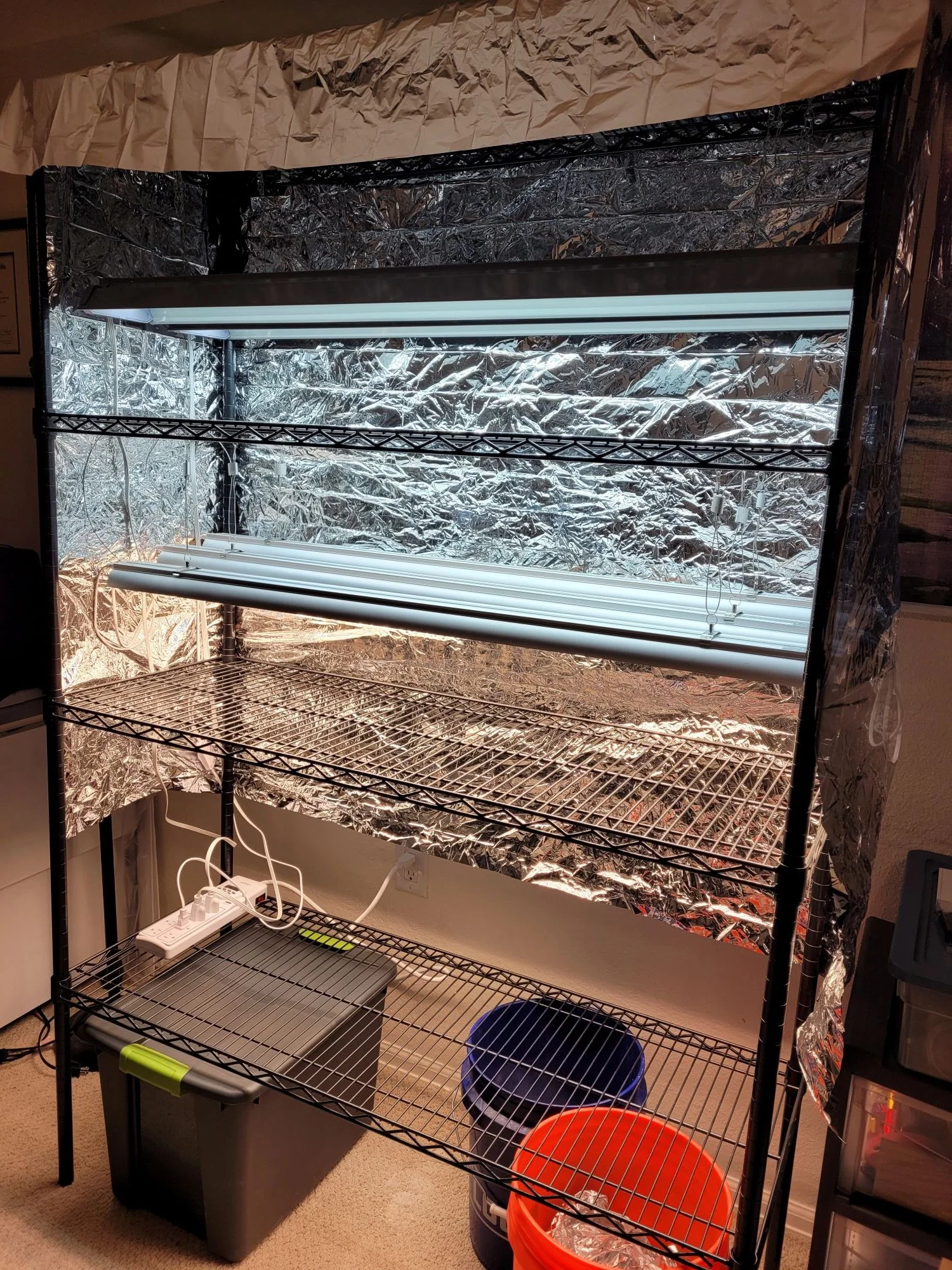 Indoor Seed Starting Supplies — MY COLORADO GARDEN