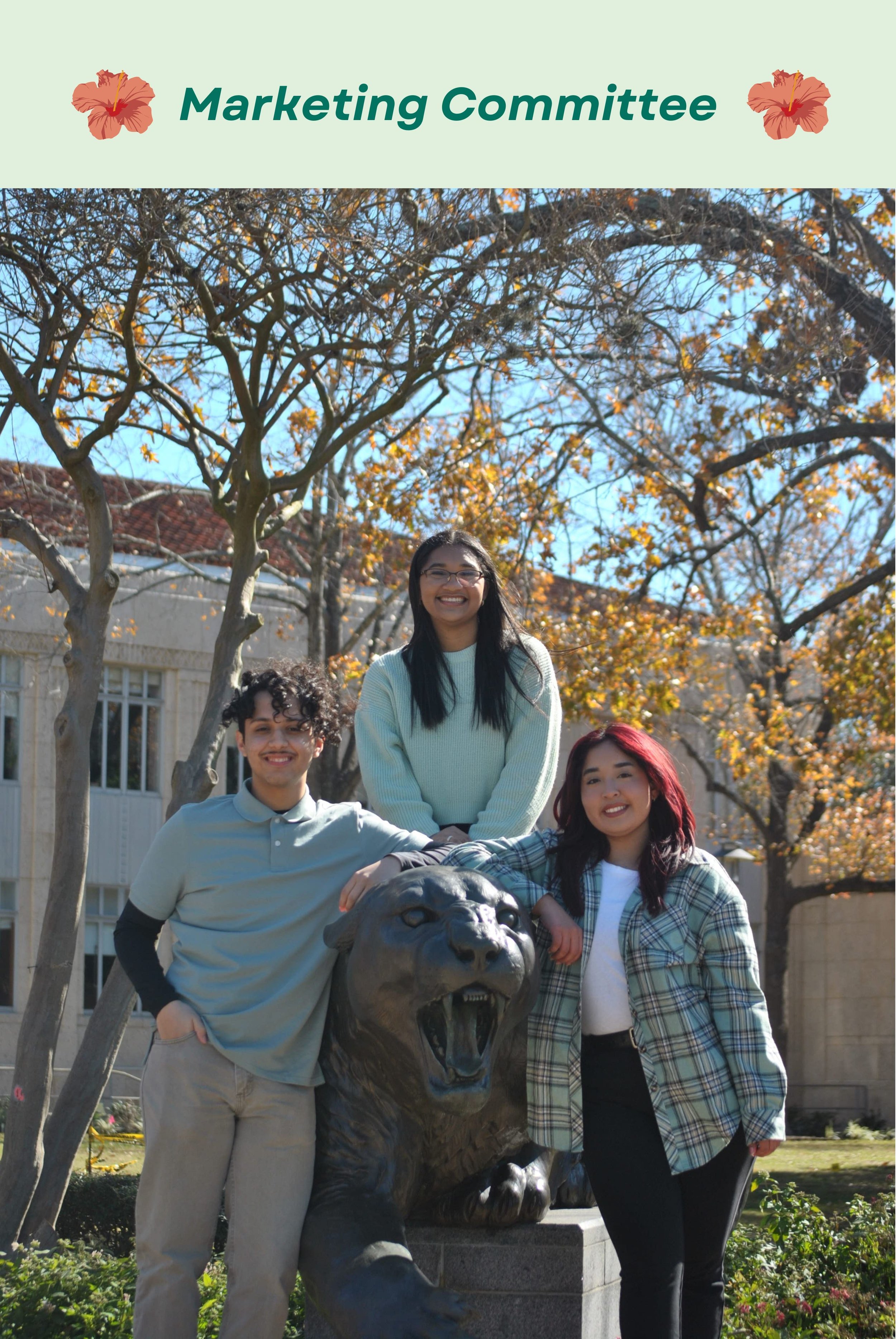 HBSA | University of Houston