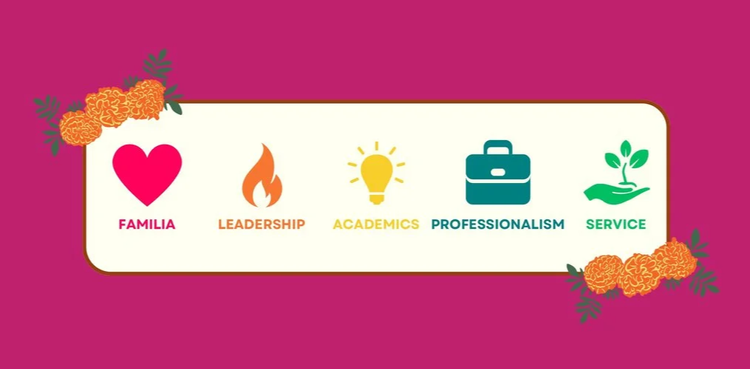 HBSA | University of Houston