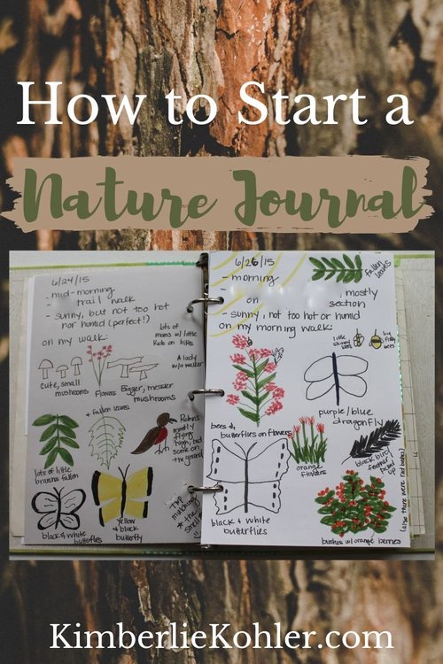 How to Start a Nature Journal — Kimberlie Kohler Designs