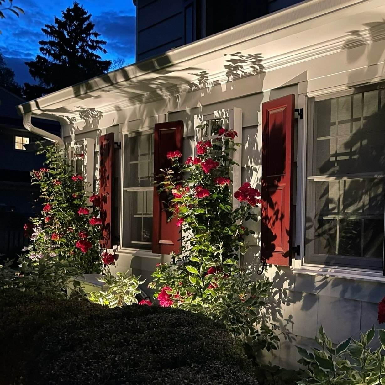 DIY vs. Professional Outdoor Lighting—NatureScape Lighting + Audio