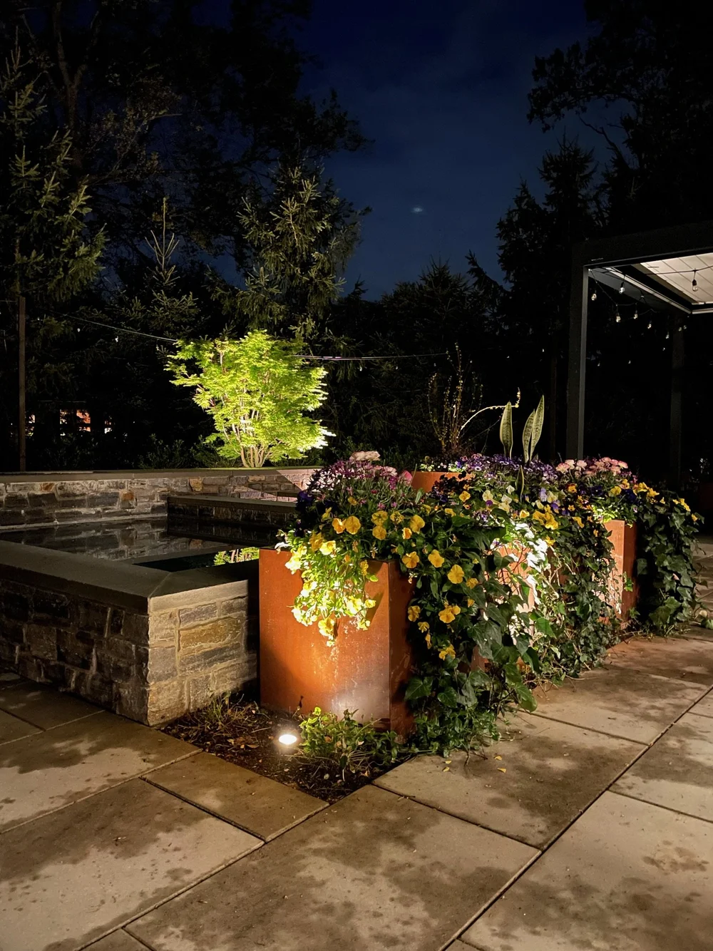 NatureScape Lighting + Audio