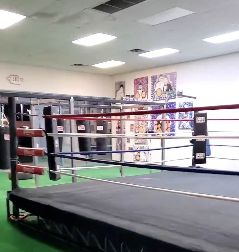 Artist Boxing Gym & Fitness