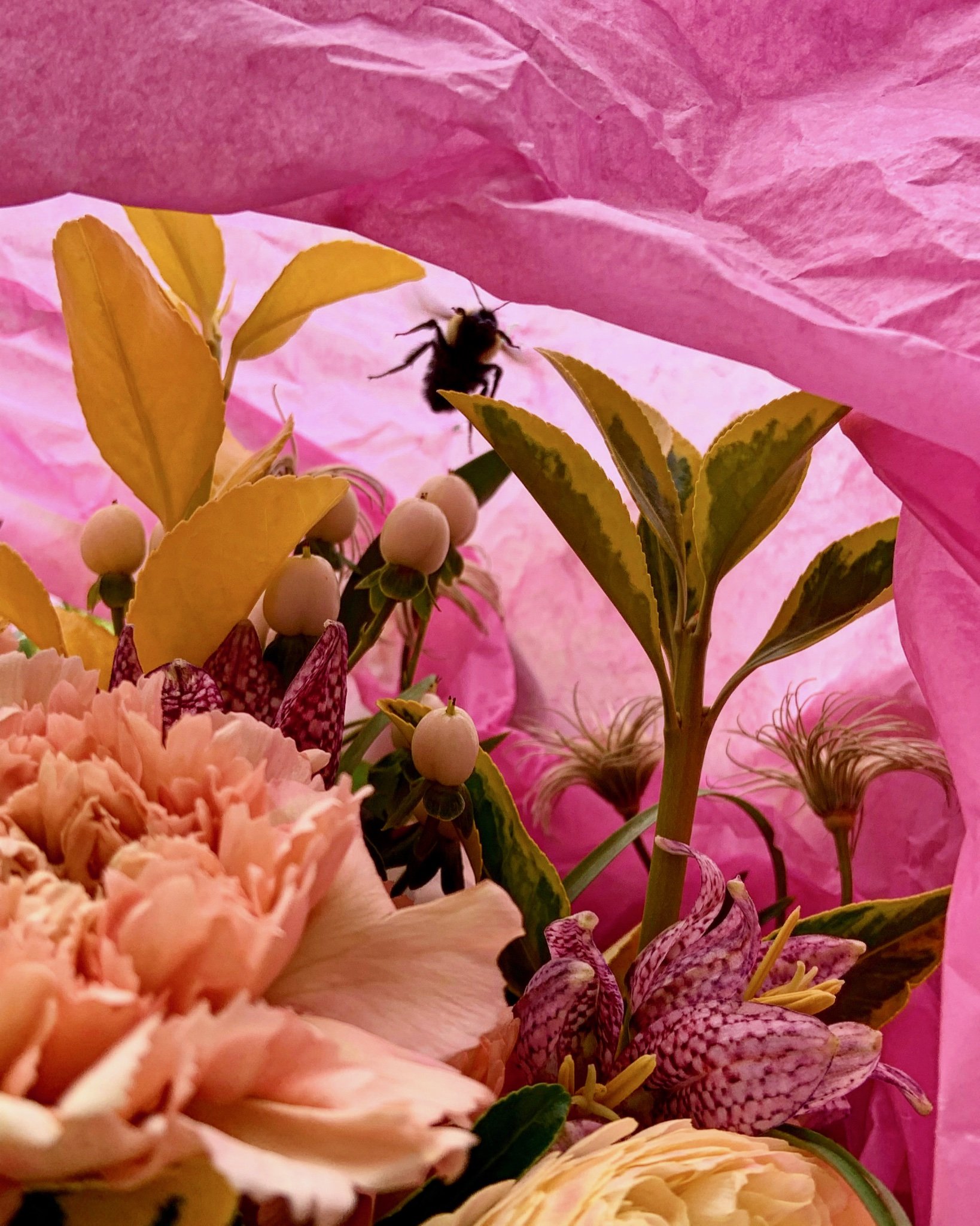 miriam bloom designs