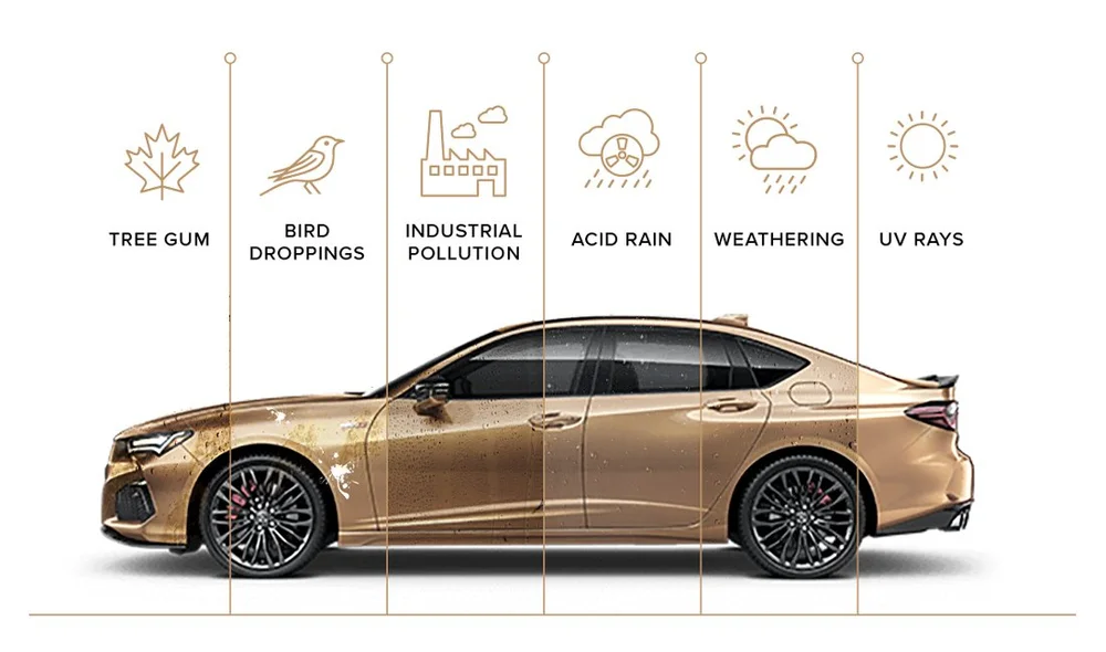 Lion Ceramic Coating
