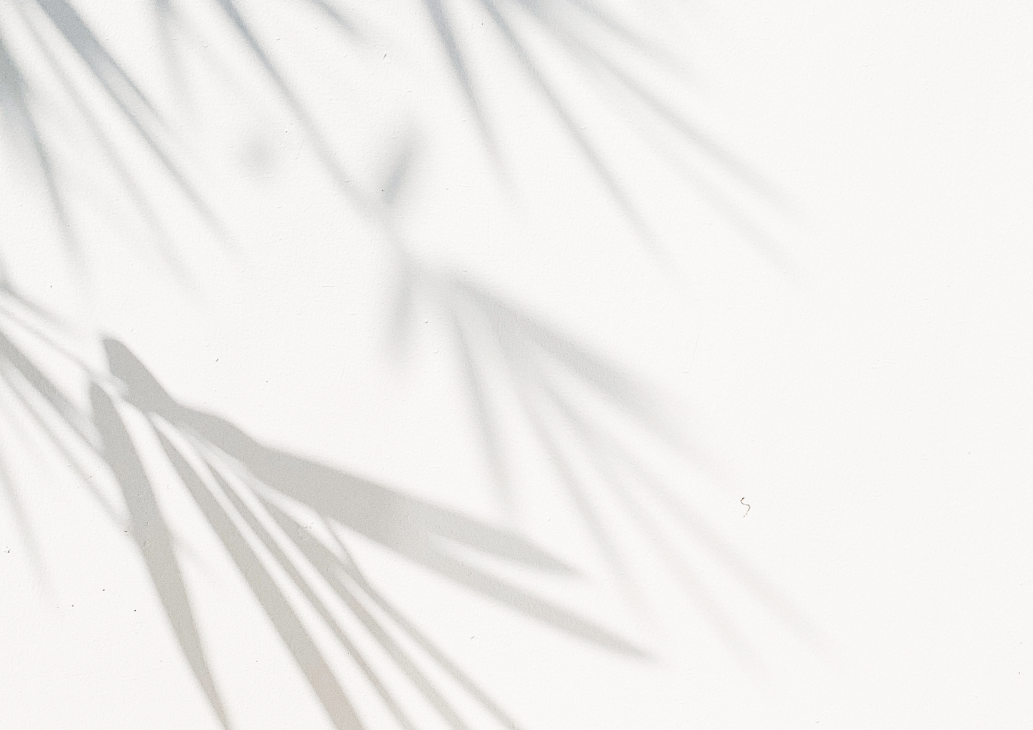 Our approach | Uncovery | Eating Disorder Recovery Coaching