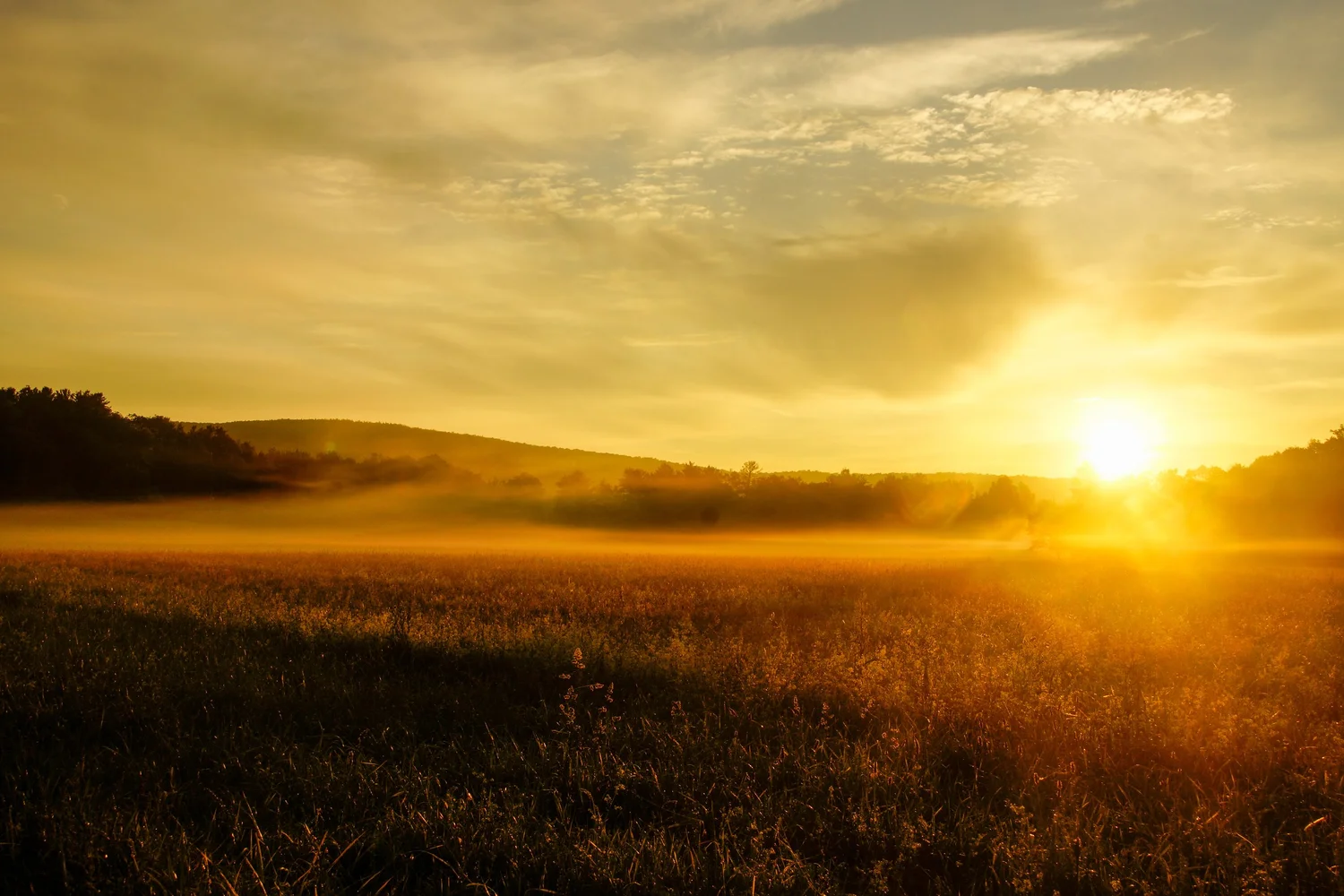 10 Quotes for Summer Solstice — Berkshire Family Hikes