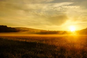 10 Quotes for Summer Solstice — Berkshire Family Hikes