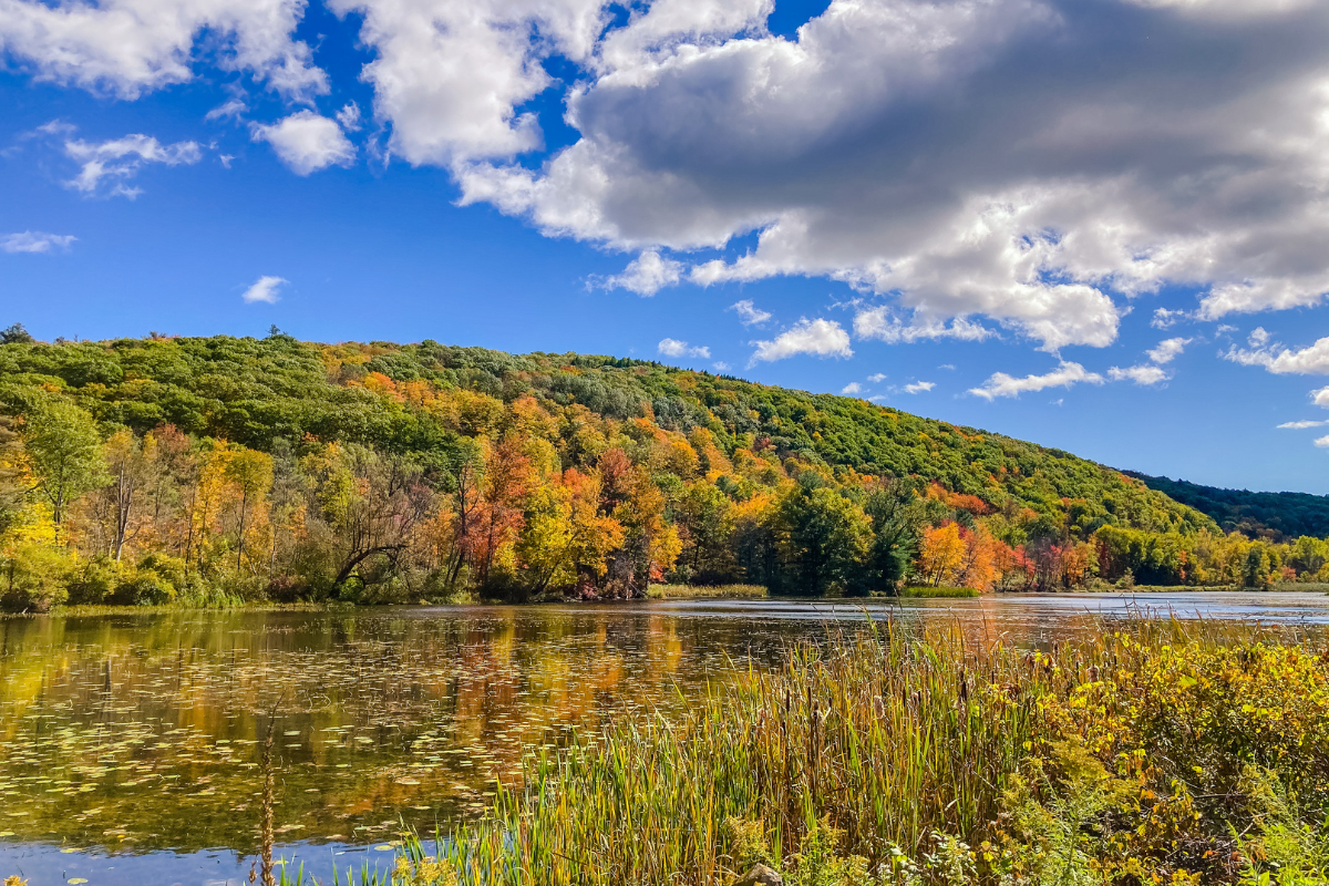 20 Family-Friendly Fall Foliage Hikes in the Berkshires — Berkshire ...