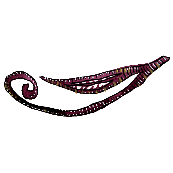 Consulting — Dana Shen