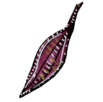 Consulting — Dana Shen