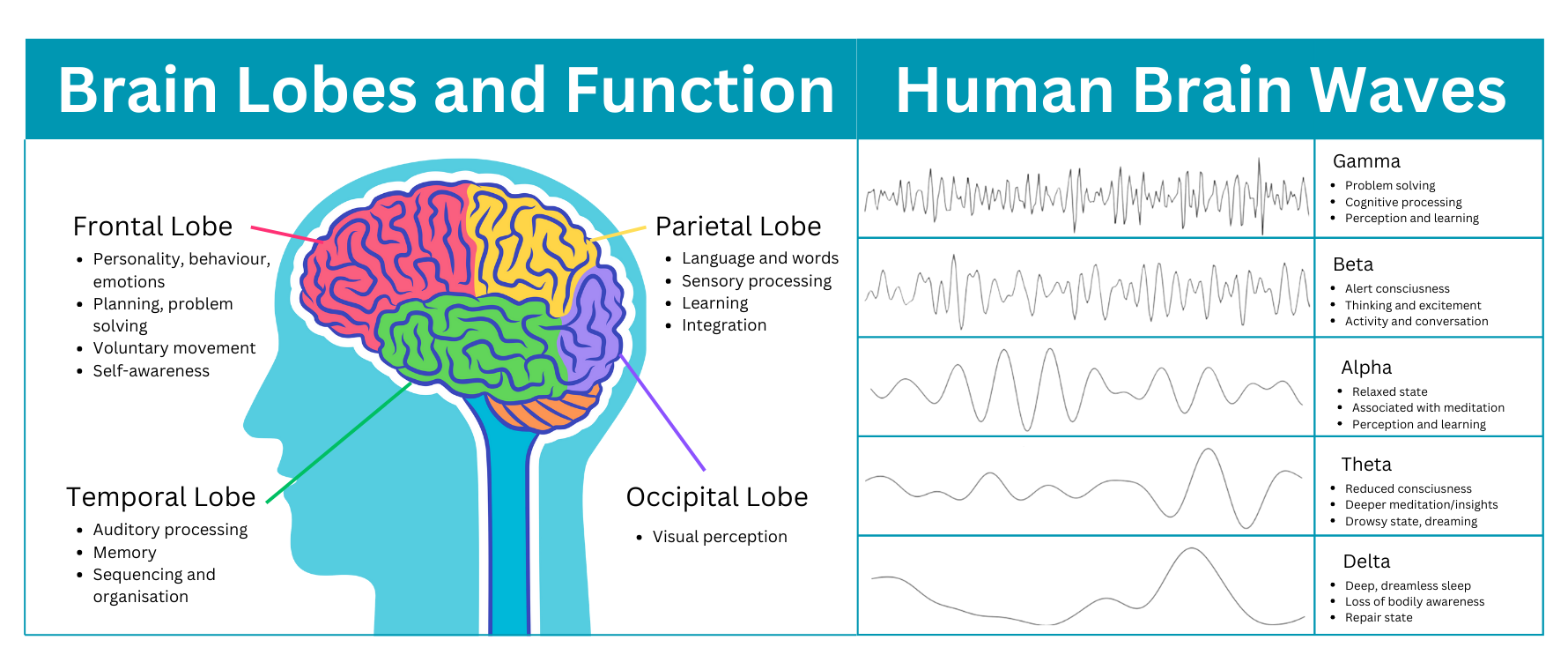 qEEG Brain Mapping Assessment — Brain Care Psychology and Neurotherapy ...