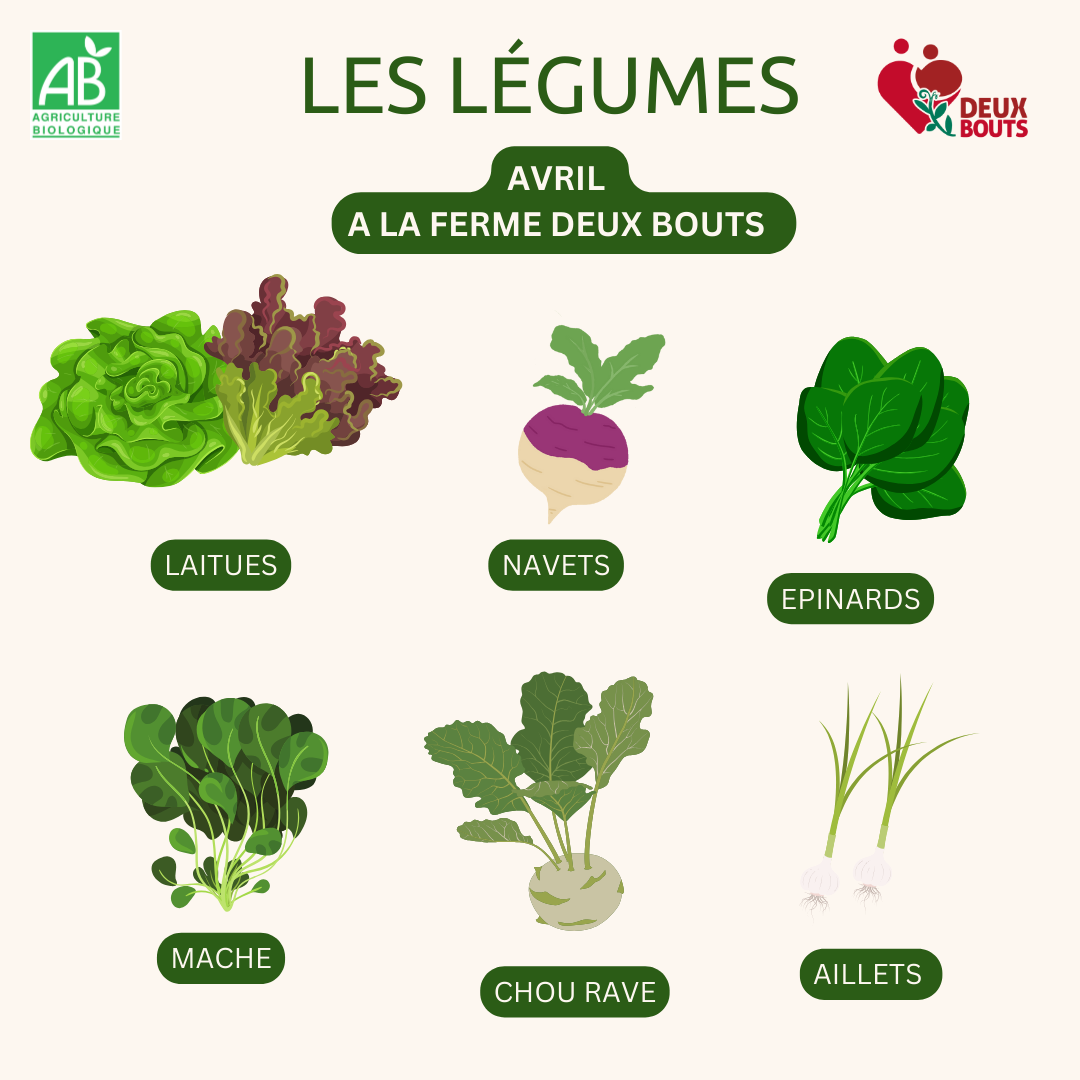 Qu’est ce qui pousse en avril à La Ferme ? — La ferme Deux Bouts