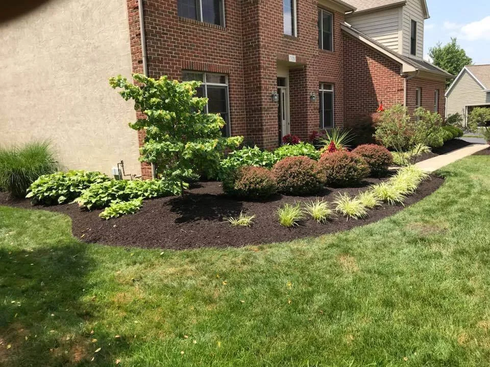 Professional Mulch Delivery & Installation Service — Evo Lawn & Landscape
