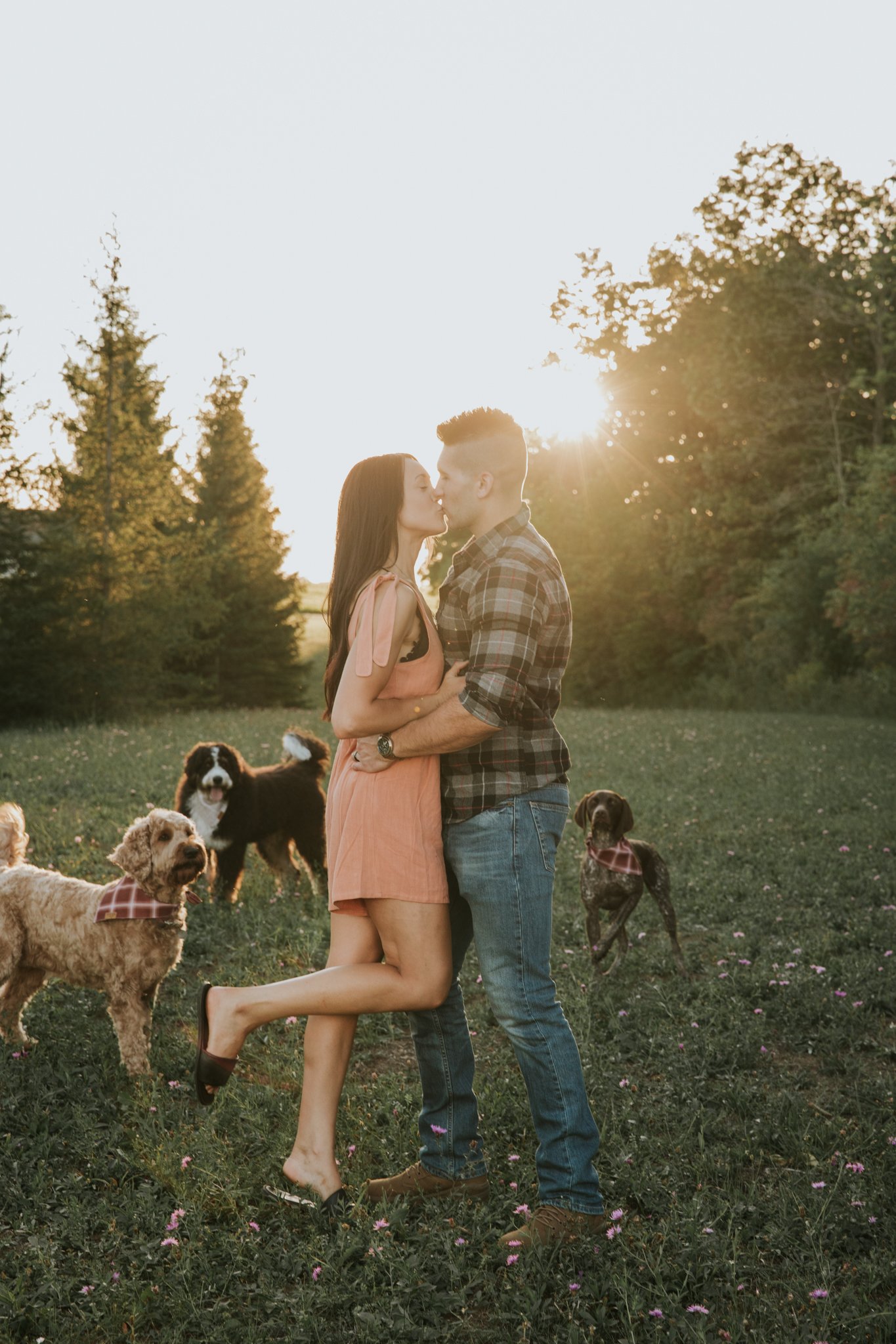 Griswold Goldens | Branding — Jamie Pankow Photography