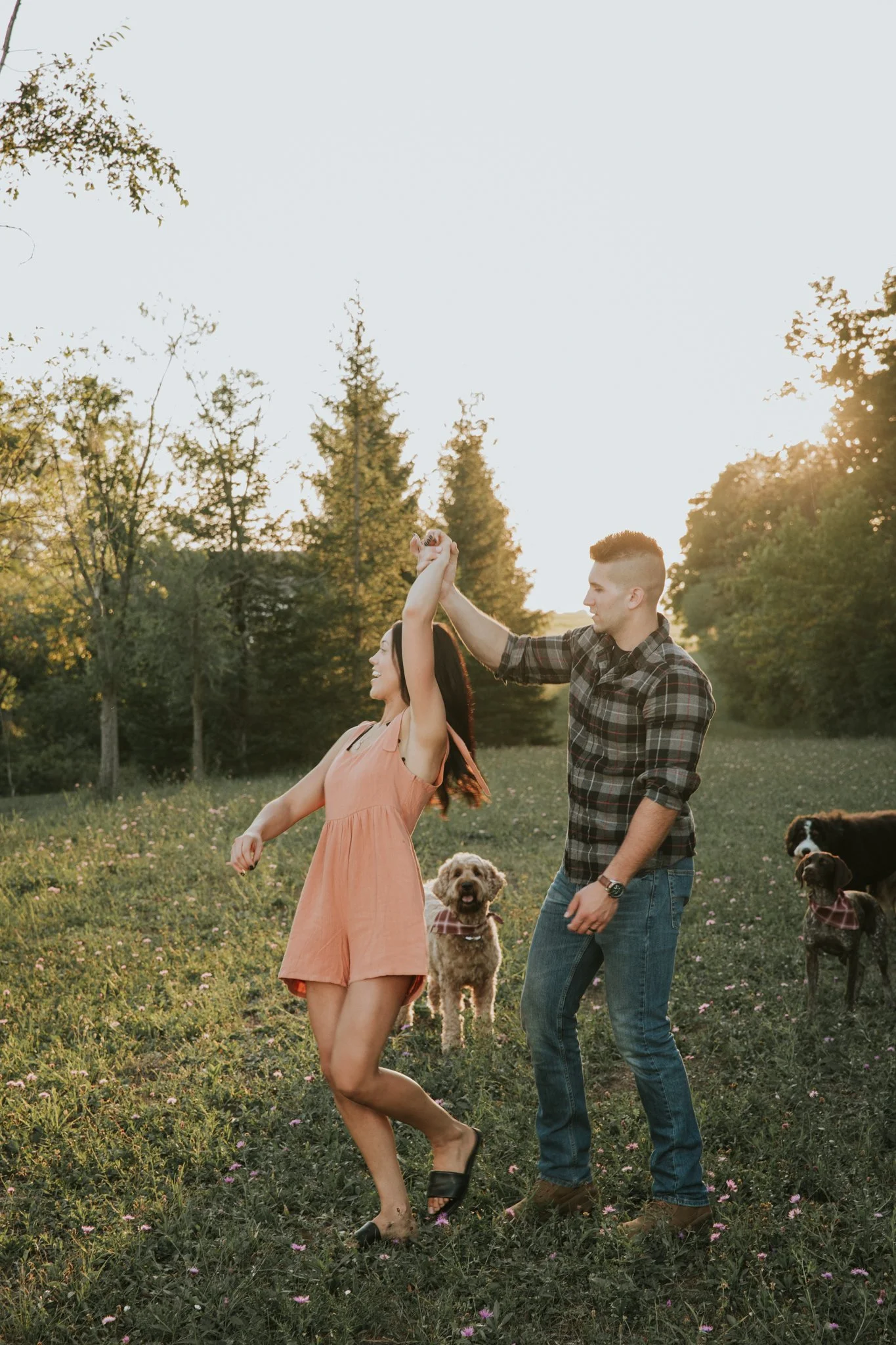 Griswold Goldens | Branding — Jamie Pankow Photography